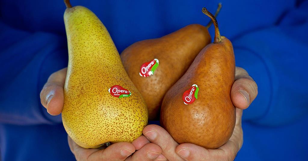 Opera aims to reclaim lost market share for its pears in Germany | News ...
