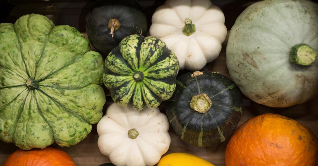 Chefs favour mini pumpkins | Article | Fruitnet