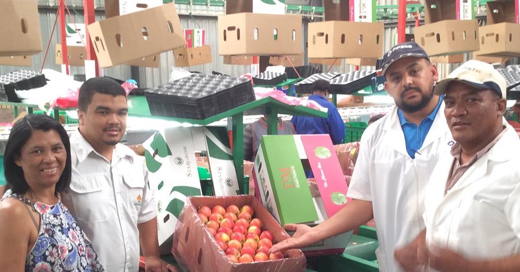 Boost for black-owned fruit businesses | Article | Fruitnet