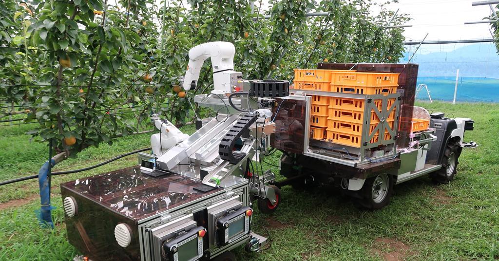 New robotic harvester developed in Japan | Article | Fruitnet