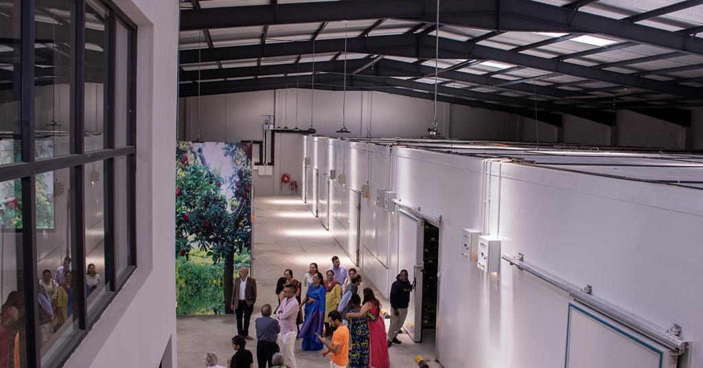 Fruitbox strengthens its operations in Kenya | News | Fruitnet