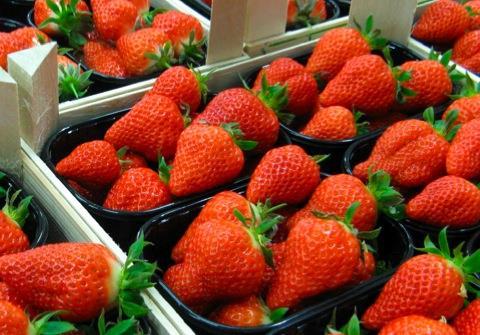 UK strawberries arrive at Sainsbury’s | Article | Fruitnet