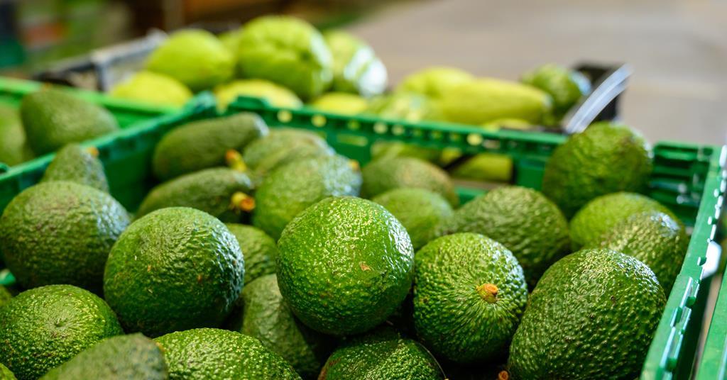 Spain spends more on imports | News | Fruitnet