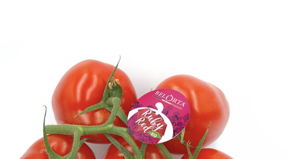 Organic Ruby Red tomato hits shelves at right time | News | Fruitnet
