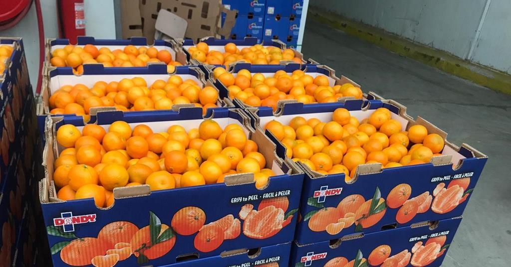 Duda kicks off summer citrus campaign | Article | Fruitnet