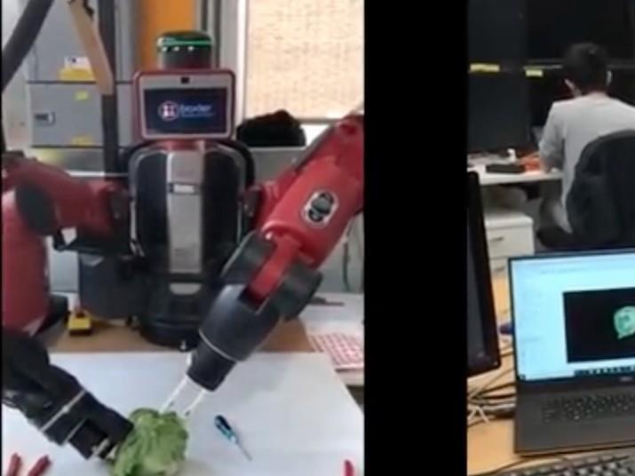 AHDB unveils new lettuce bot | Article | Fruitnet