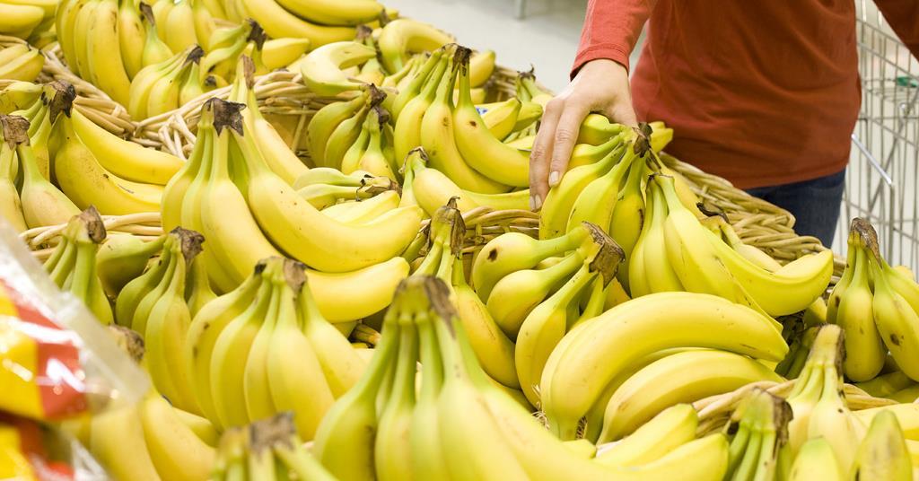 Philippine bananas eyeing Australia | Article | Fruitnet