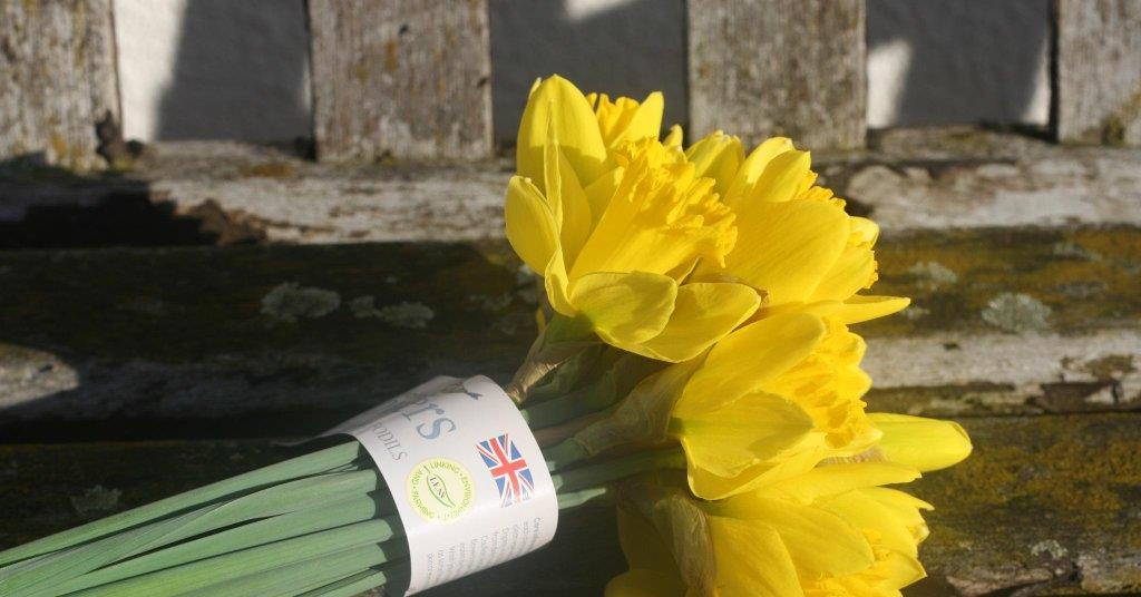 Cornwall’s Varfell Farms joins LEAF network | News | Fruitnet