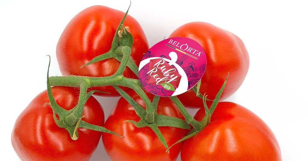 Organic Ruby Red tomato hits shelves at right time | News | Fruitnet