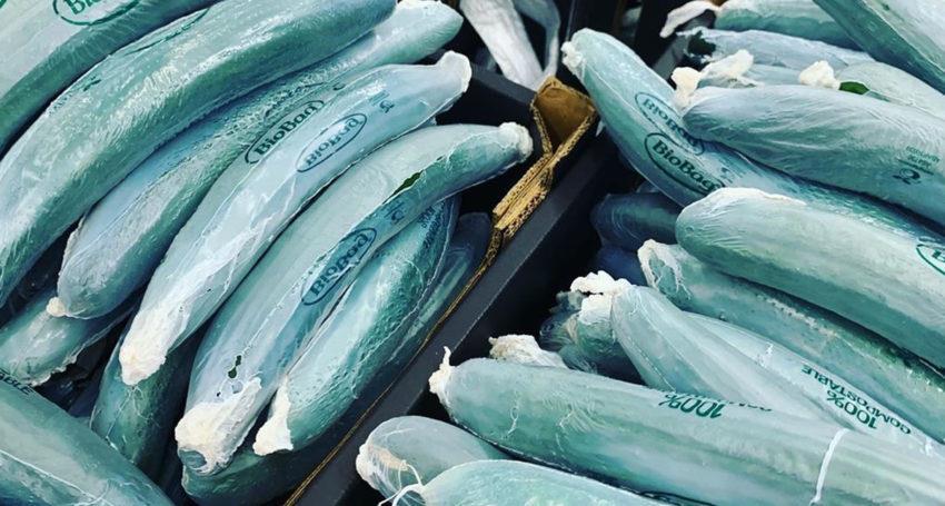Compostable cucumber wrap cuts plastic | Article | Fruitnet