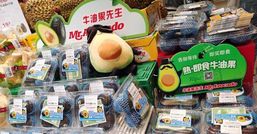 Mr Avocado welcomes first arrivals of Tanzanian avocados to China ...
