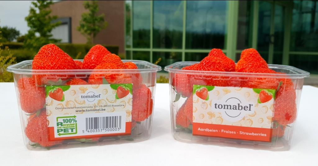 REO Veiling launches new strawberry punnets | News | Fruitnet