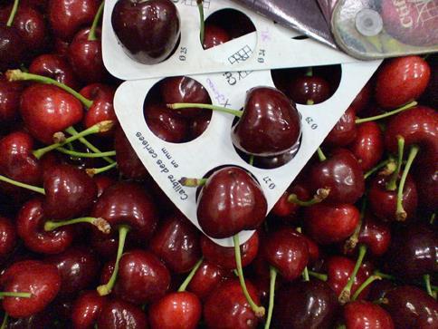 Demand for Greek cherries blooms | Article | Fruitnet