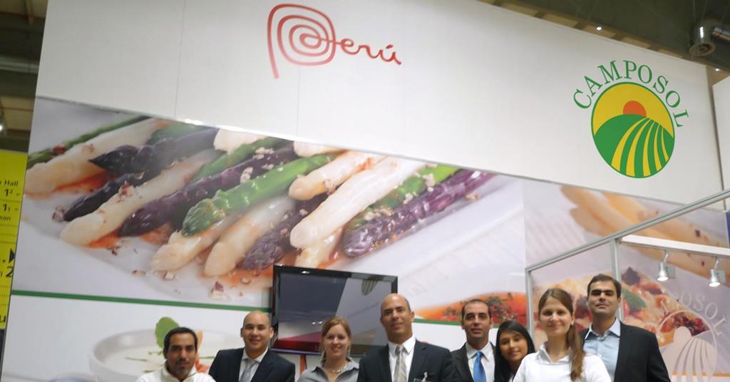 Camposol expands avocado programme | Article | Fruitnet