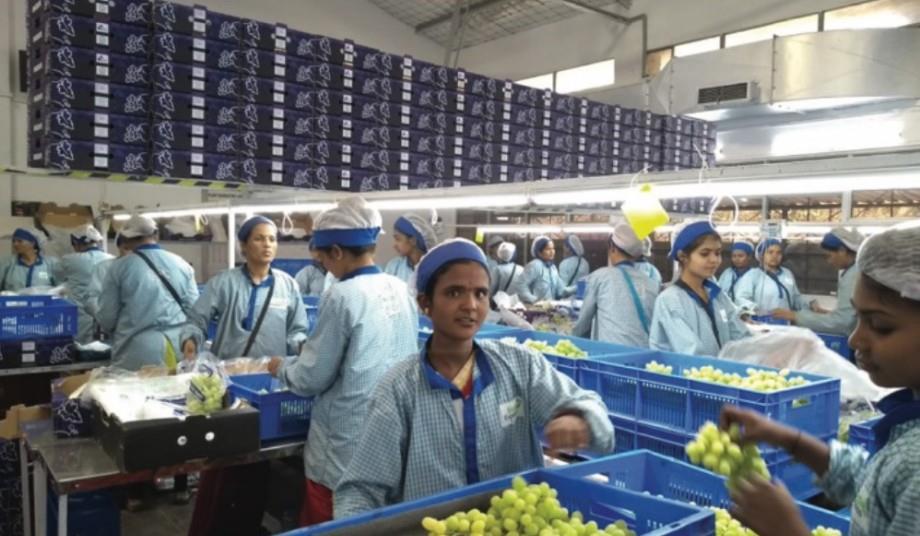 Fresh Express puts women first | Article | Fruitnet