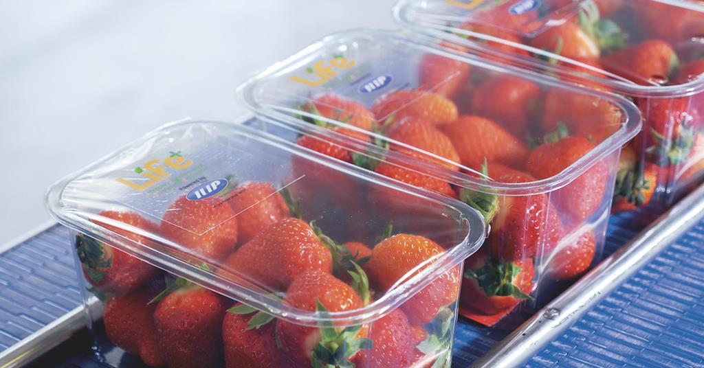 As costs rise, Ilip targets strong demand for eco-friendly packaging ...