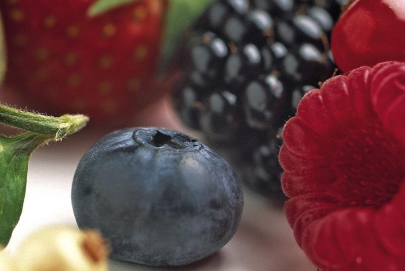 Belgian trade plans three-year campaign | Article | Fruitnet