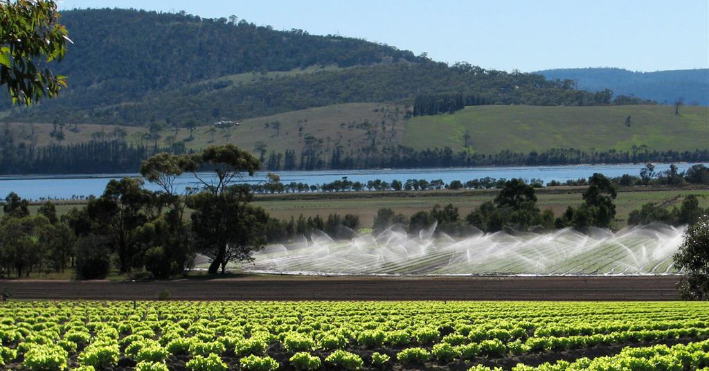 Administrators sell HS Fresh Food to PM Fresh Foods | News | Fruitnet