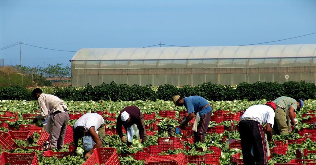 Report highlights “endemic” abuse of migrant workers in Spain | News ...