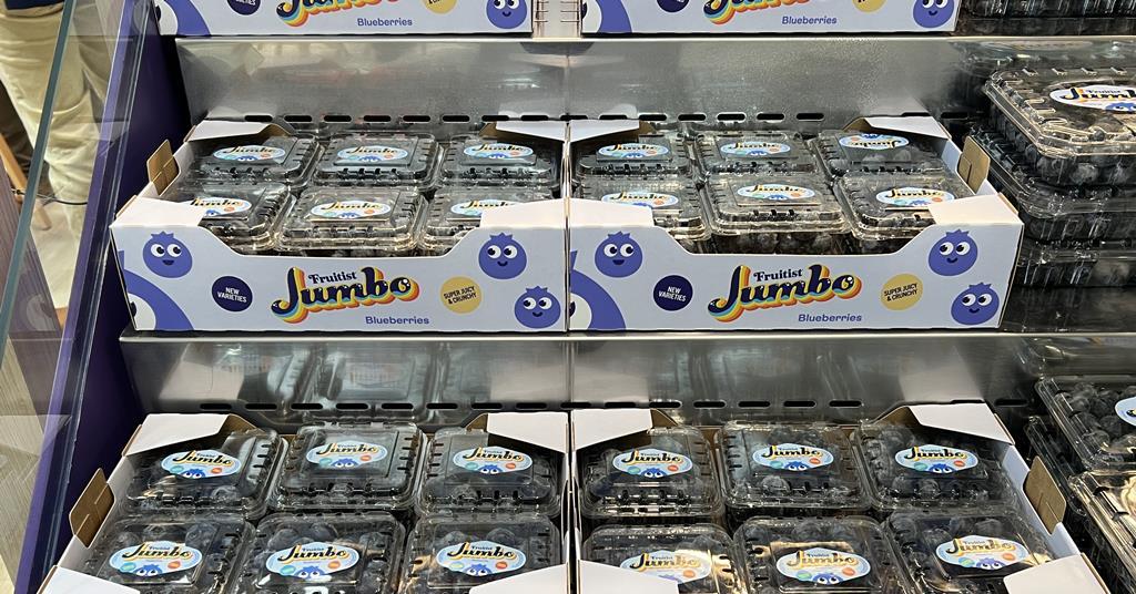Agrovision’s Peruvian blueberry volume set to almost double | News ...