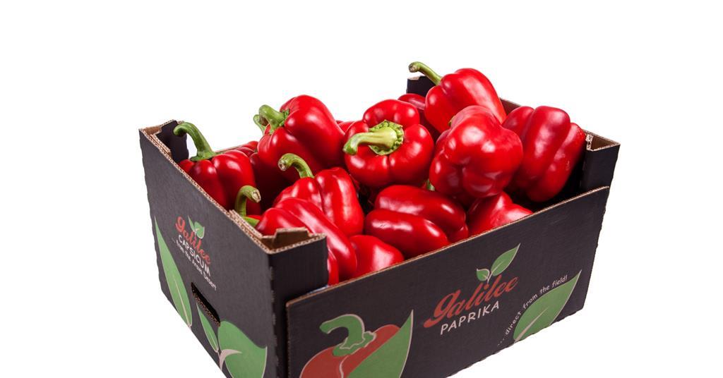 Galilee Export teams up with Save Foods | Article | Fruitnet