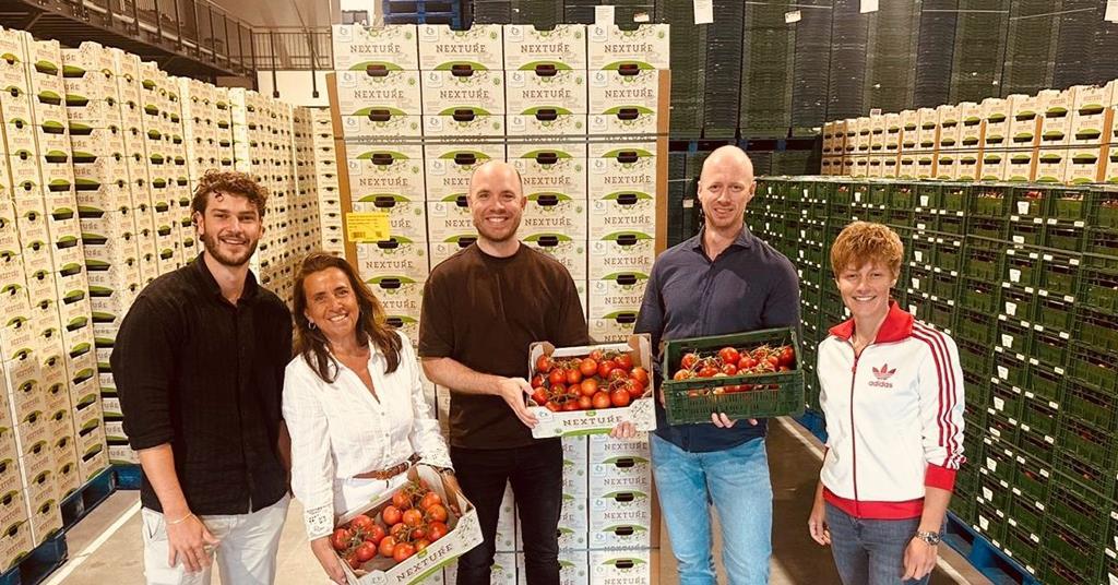 Collaboration on LED optimisation benefits tomatoes | News | Fruitnet