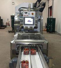 Soft-fruit packer installs new system | Article | Fruitnet