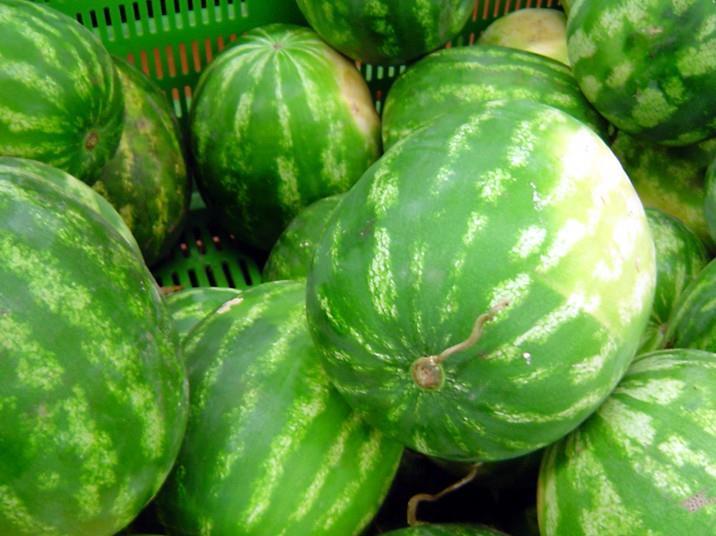 Myanmar begins fruit shipments to Singapore | Article | Fruitnet