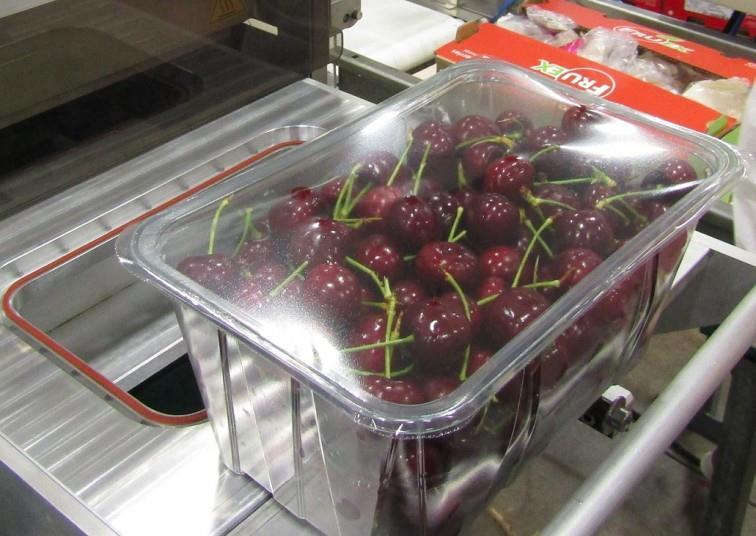 Workshop shines spotlight on sustainability | Article | Fruitnet