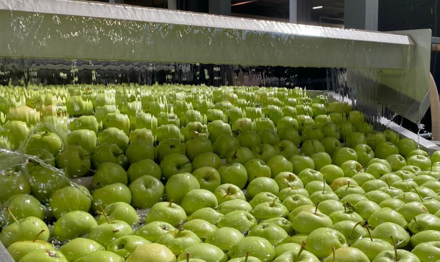 Turkish apples gain Thai entry | Article | Fruitnet