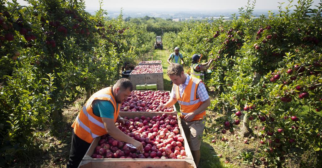 British topfruit growers concerned by rising costs | Article | Fruitnet