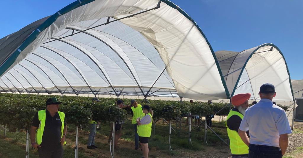 BerryQuest International sets scene for future of Australian berry ...