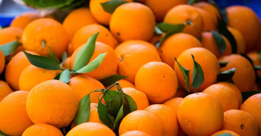 WCO forecasts 8.73 per cent fall in Northern Hemisphere citrus volumes ...