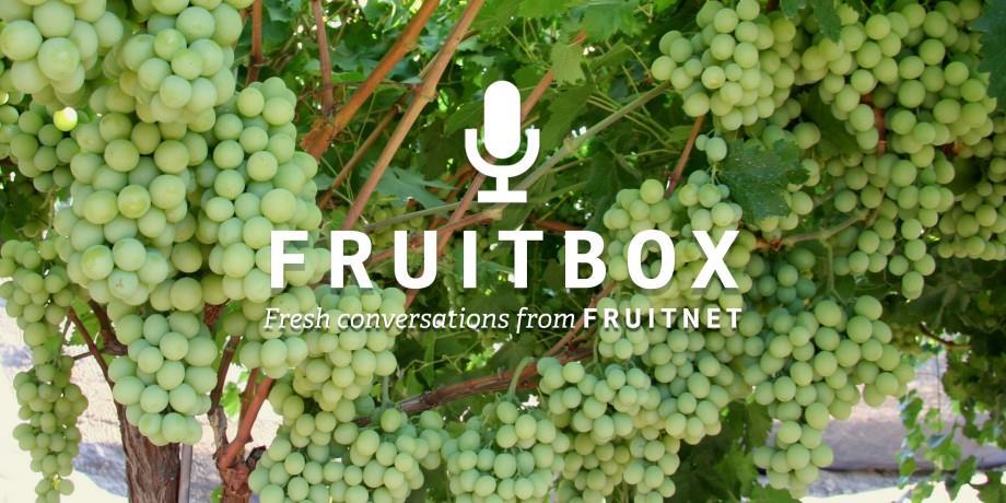 Fruitbox: Will tech help us harvest better fruit? | Podcasts | Fruitnet
