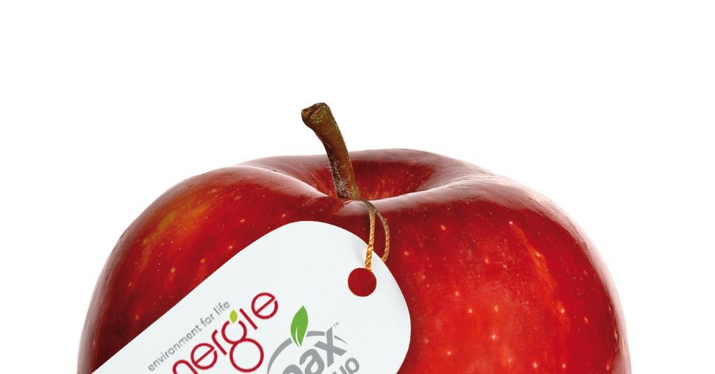 Freshmax and Energie join forces | Article | Fruitnet