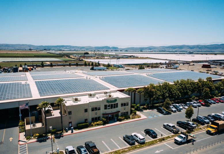 Driscoll's converts facility to solar | Article | Fruitnet