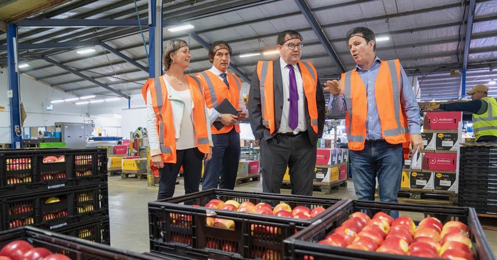 NZAPI calls for more RSE workers | Article | Fruitnet
