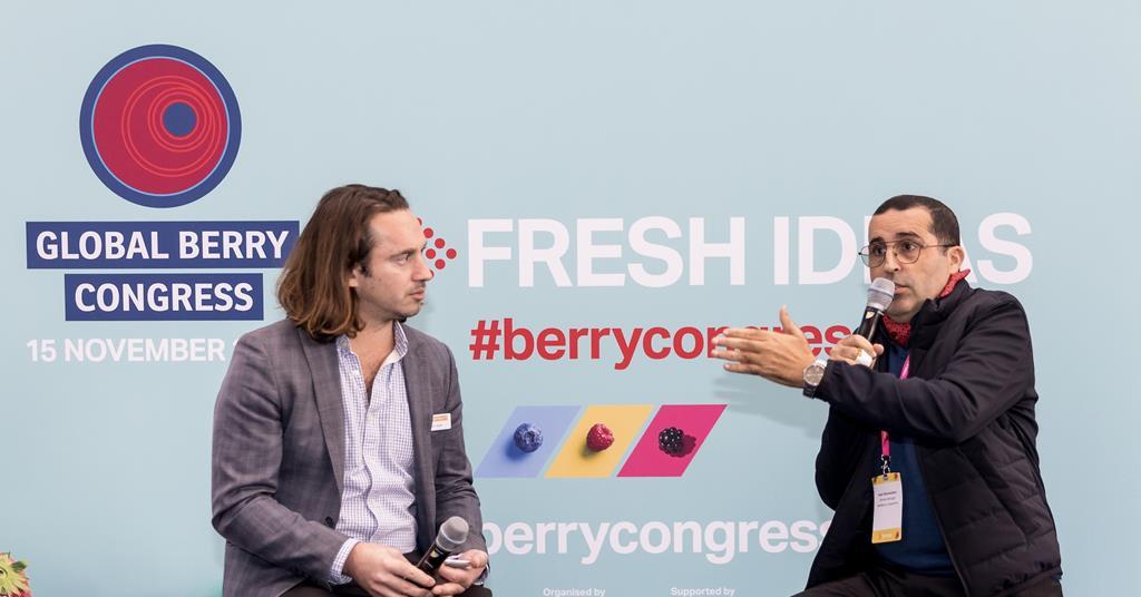 Morocco making strides in berries | Article | Fruitnet