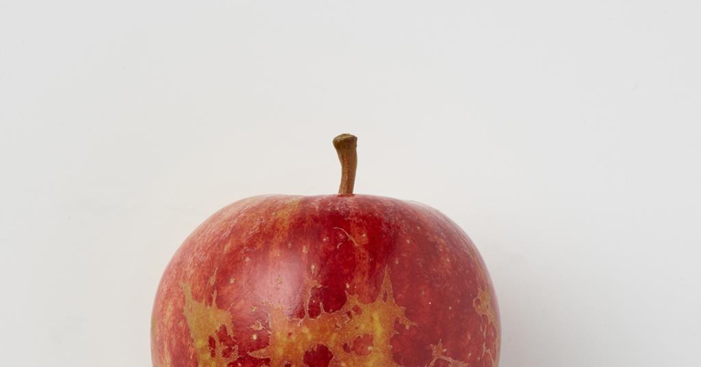 Morrisons launches wonky apples hit by spring frosts | Article | Fruitnet