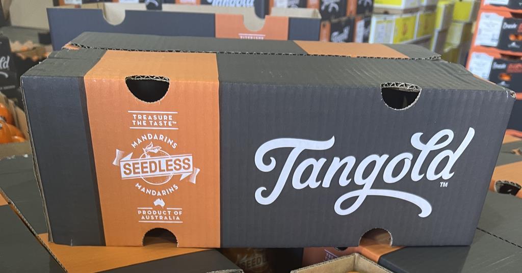 Freshmax seeks strategic partner | News | Fruitnet