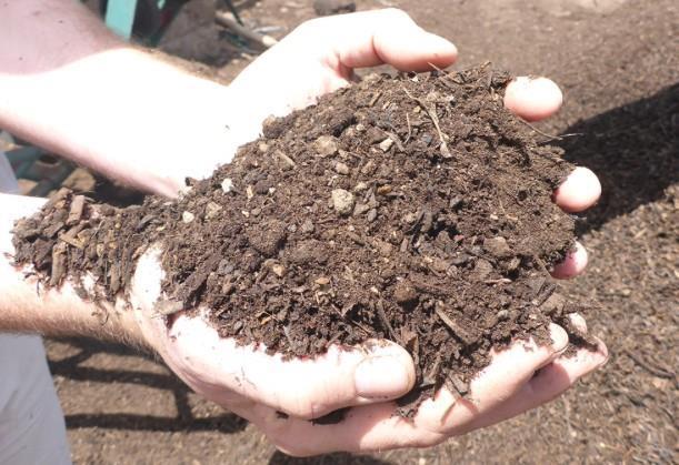 New traffic light and MOT system to boost soil health | Article | Fruitnet