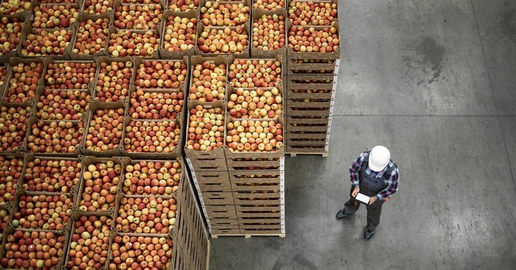 Global fresh produce exports hit 148mn tonnes in 2024, China leads ...