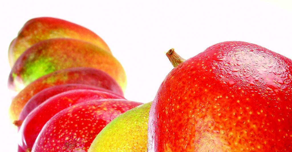 Peruvian mango exports soar | Article | Fruitnet