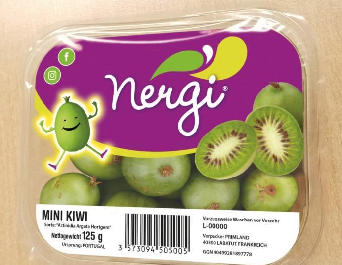 Good conditions for Nergi kiwiberries | Article | Fruitnet