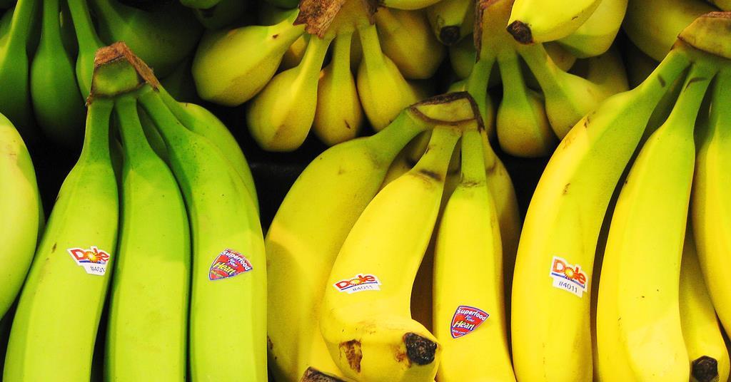 Dole resumes operations in Honduras | Article | Fruitnet