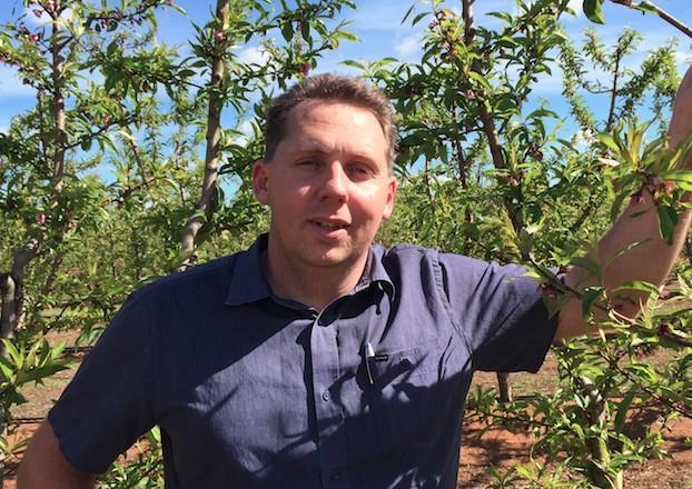 Robert Lumley joins Cutri Fruit | Article | Fruitnet