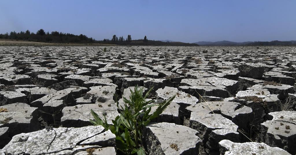 Chile drought: fruit crops under threat | Article | Fruitnet