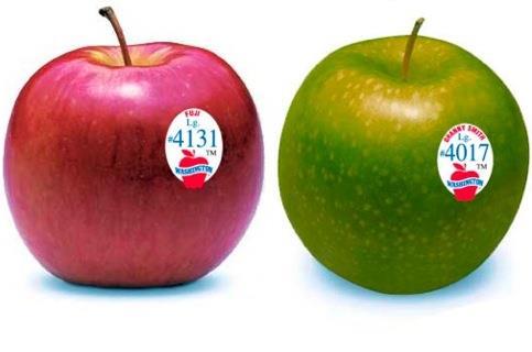 Washington apple prices boom | Article | Fruitnet