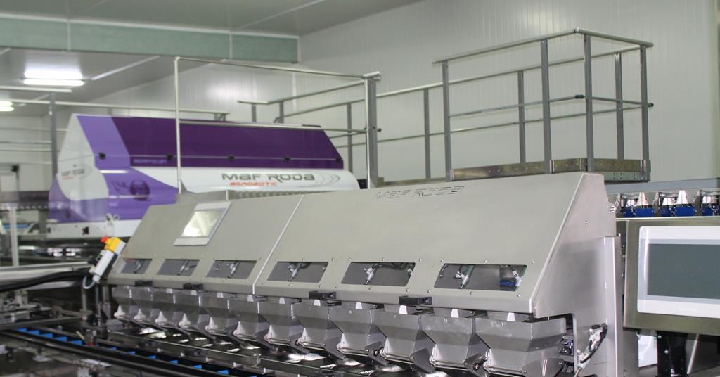 Current challenges drive automation trend | Article | Fruitnet