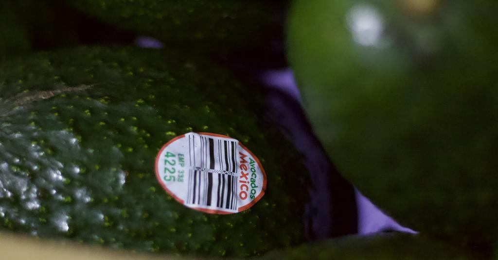 Apeam welcomes tariff decision on Mexican avocados | News | Fruitnet